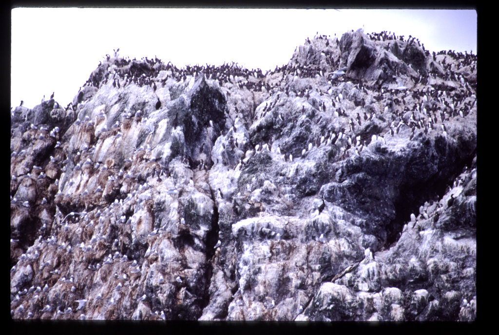Mark Zachmann Photos